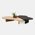 IBO Coffee Table | Delcourt Collection | Monologuelondon.com
