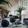 Crystal Lounge Chair | Tacchini | Monologuelondon.com