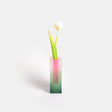 Mellow Vase - Green & Pink | Umzikim | Monologuelondon.com